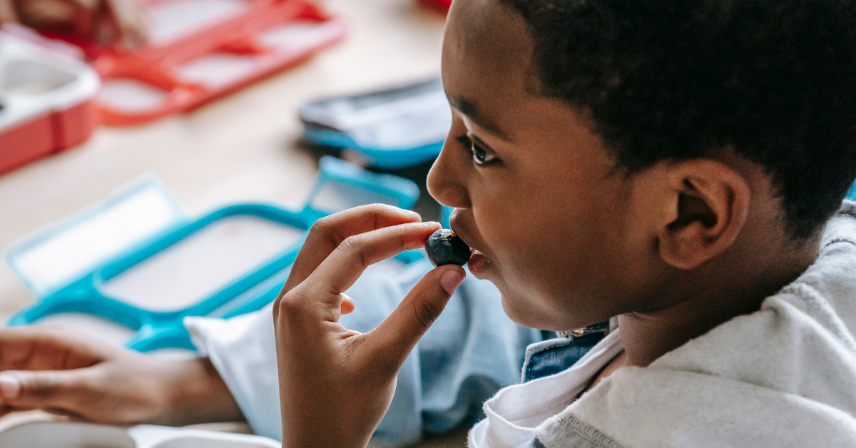 School Nutrition Program - e4c